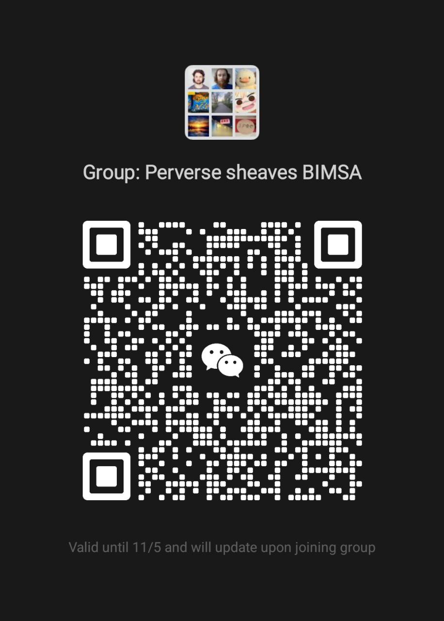 BIMSA - Perverse Sheaves